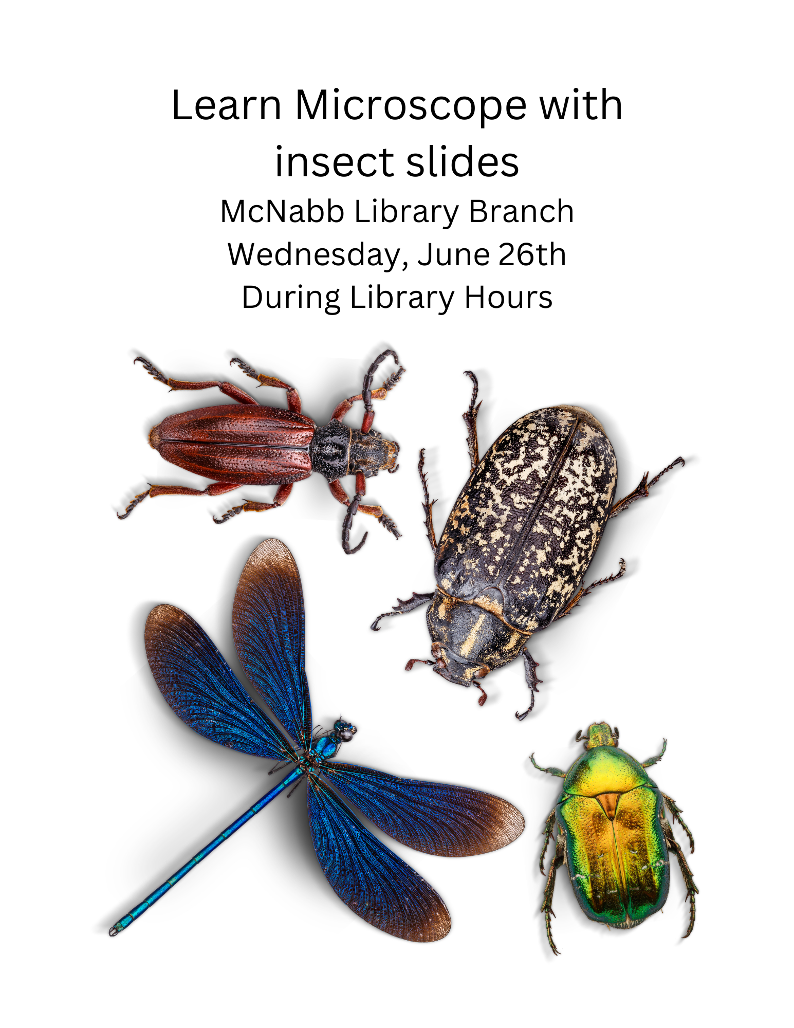 Learn Microscope with insect slides | Putnam County Library